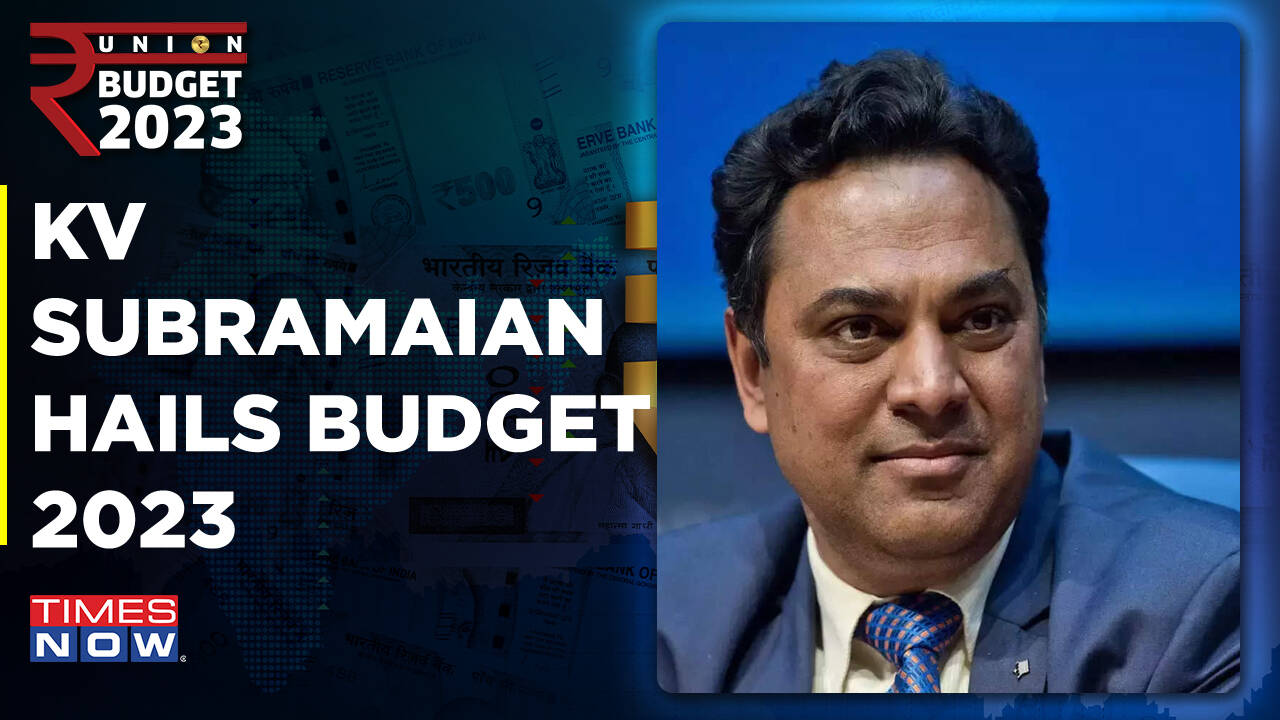 KV Subramanian Shares His Thoughts On Relief To Salaried Individuals In ...