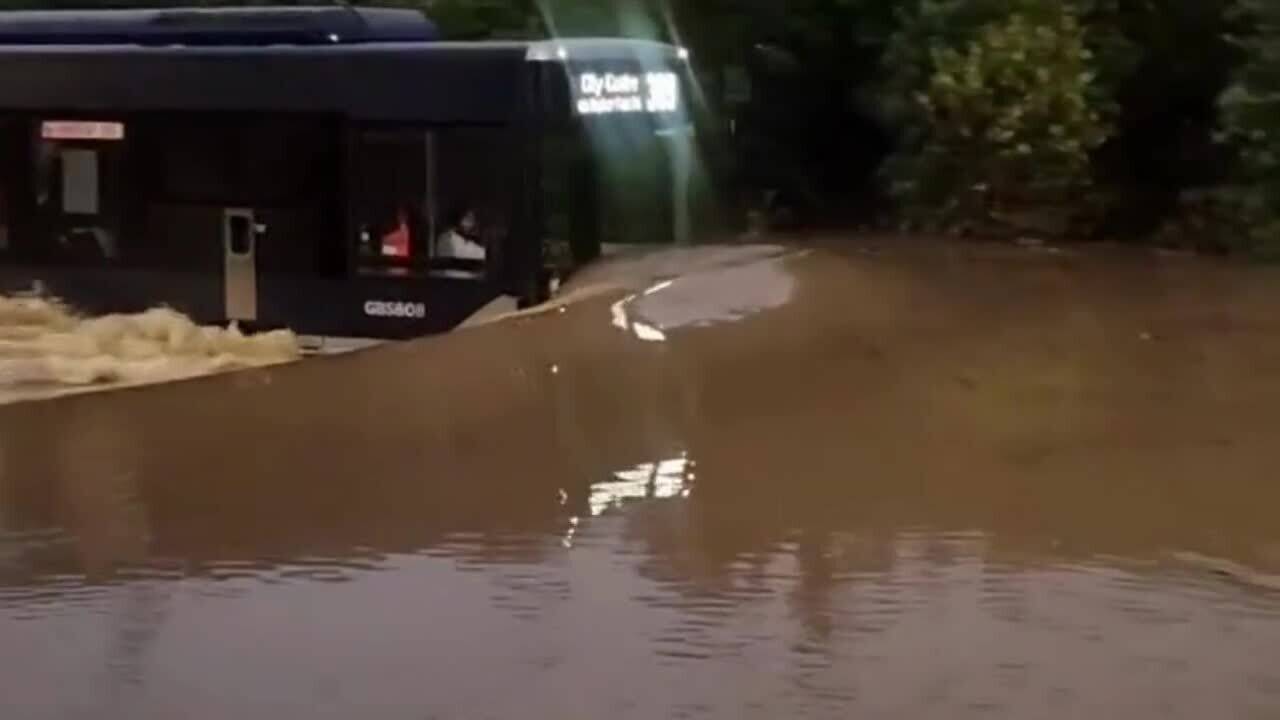 Viral video: Bus drives through deep floodwater in New Zealand after ...