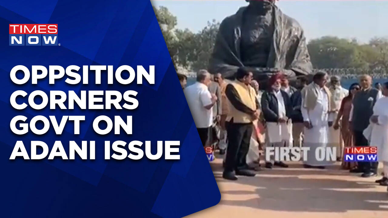 Opposition Stages Protest In Delhi To Corner Central Government On ...
