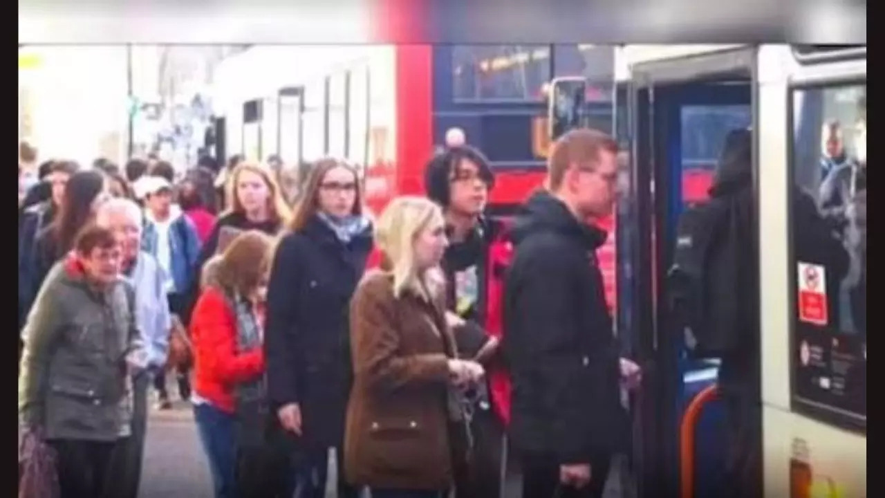 Optical illusion challenges you to find a dog among a bunch of people ...