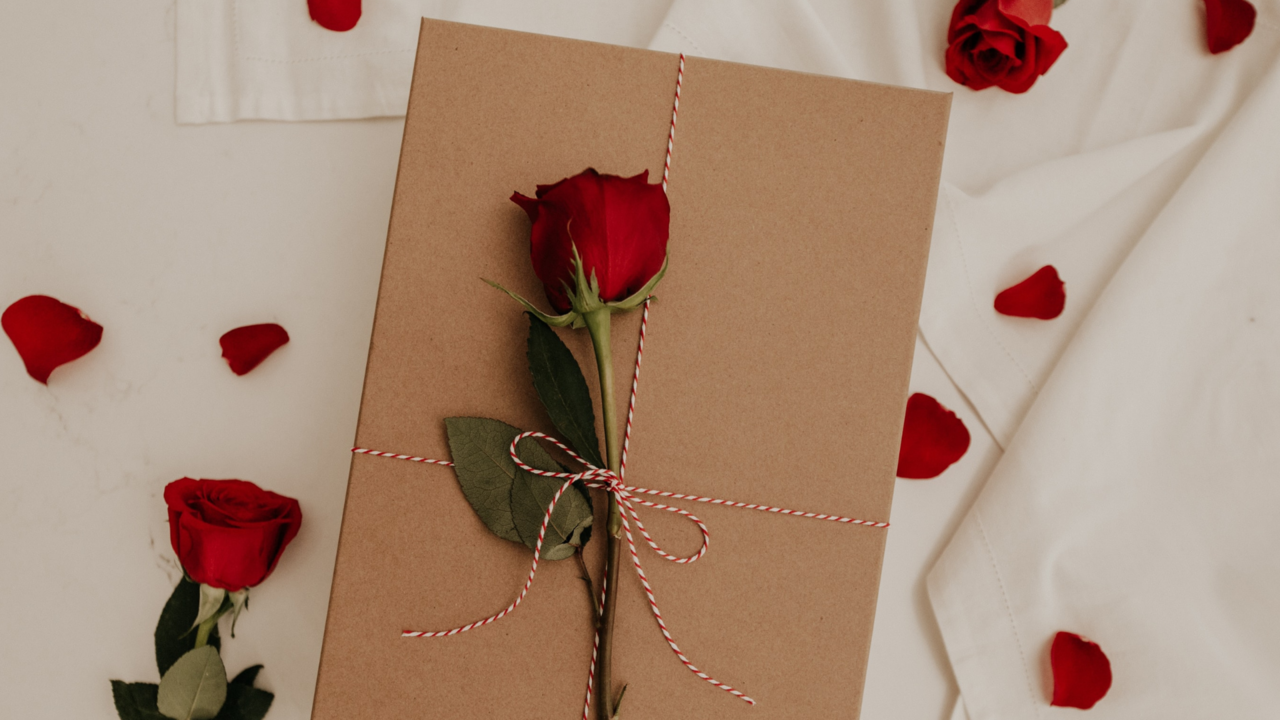 Happy Rose Day 2023: Here's all you need to know about the significance ...