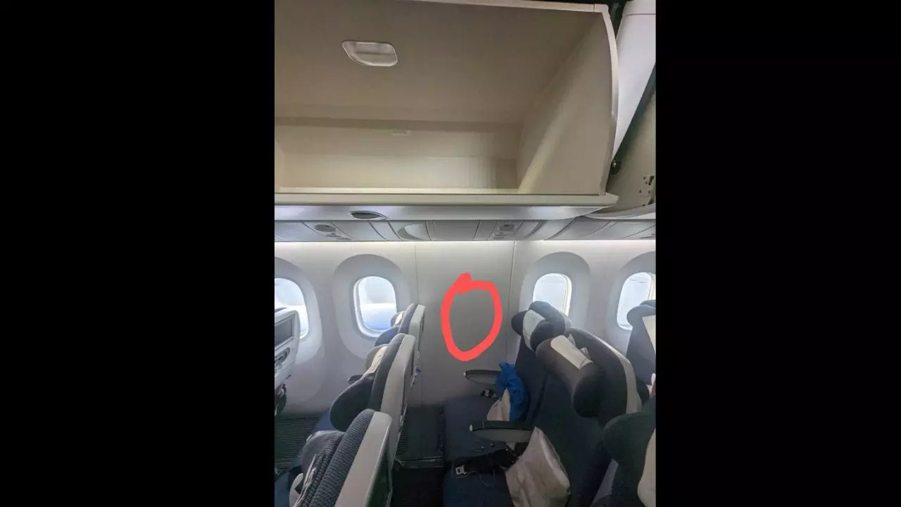 'Where's my window?' Man shares picture of 'windowless' window seat on ...