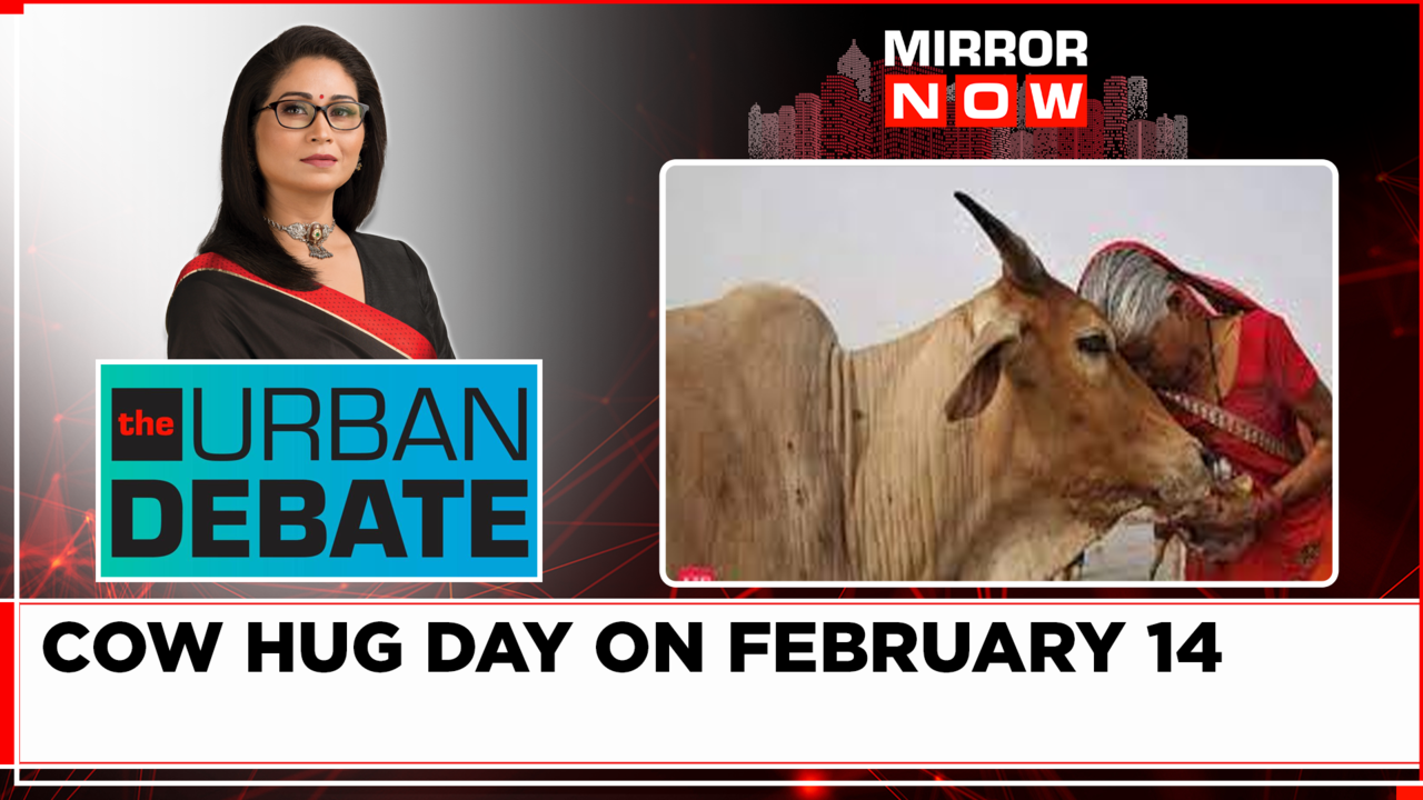 Animal Welfare Dept. Wants To Mark Cow Hug Day | No Valentine? Hug A Cow Instead | Urban Debate ...
