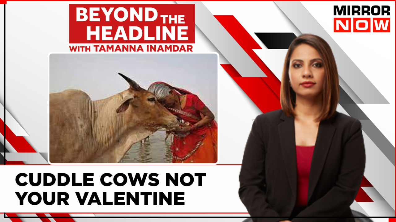 Feb 14 Is Now 'Cow Hug Day' | Cow Seva Or Hollow Gesture ? | Beyond the ...
