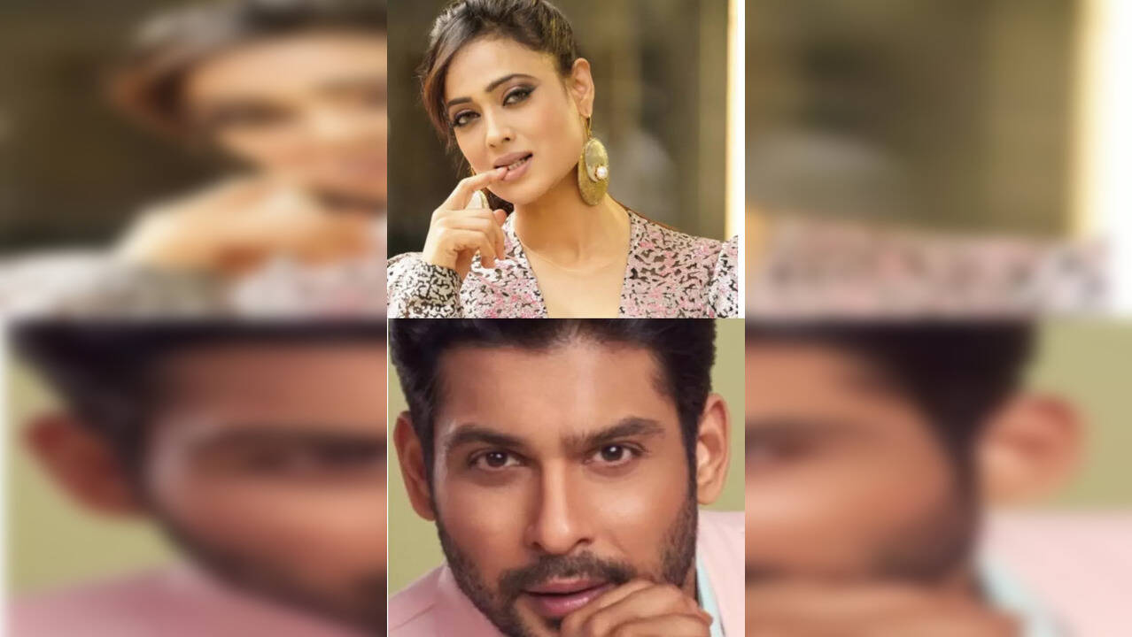 Shweta Tiwari to Sidharth Shukla, a look at past 15 winners of Bigg Boss