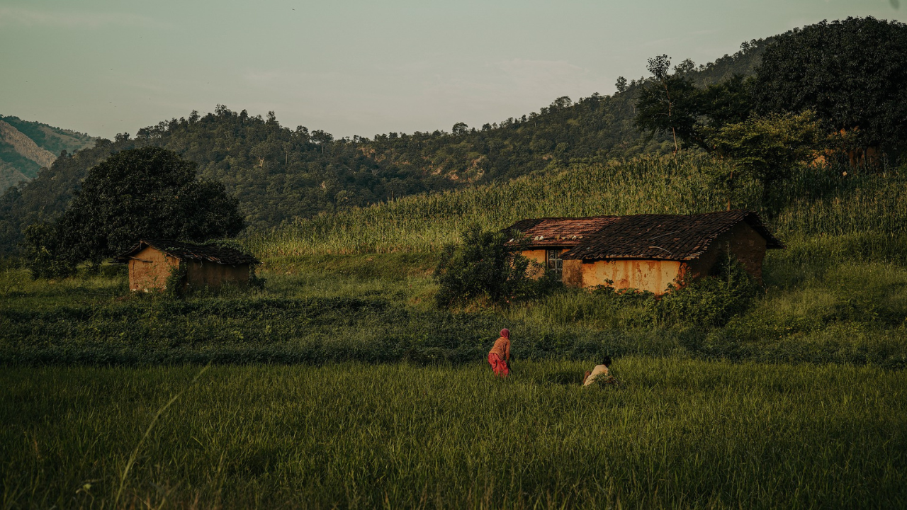 Hakki Pikki tribe | This Karnataka village has people named Google ...