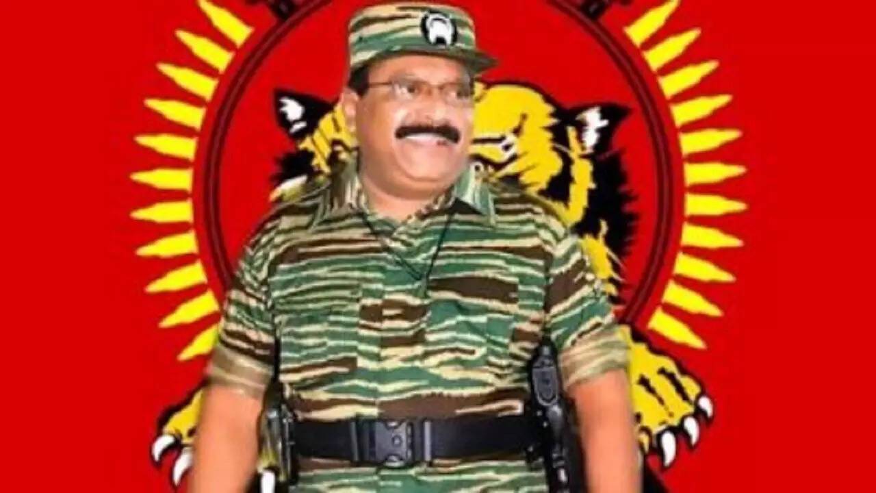 ‘DNA has...’: What Sri Lanka said on Tamil leader's claim that LTTE chief Prabhakaran is alive ...