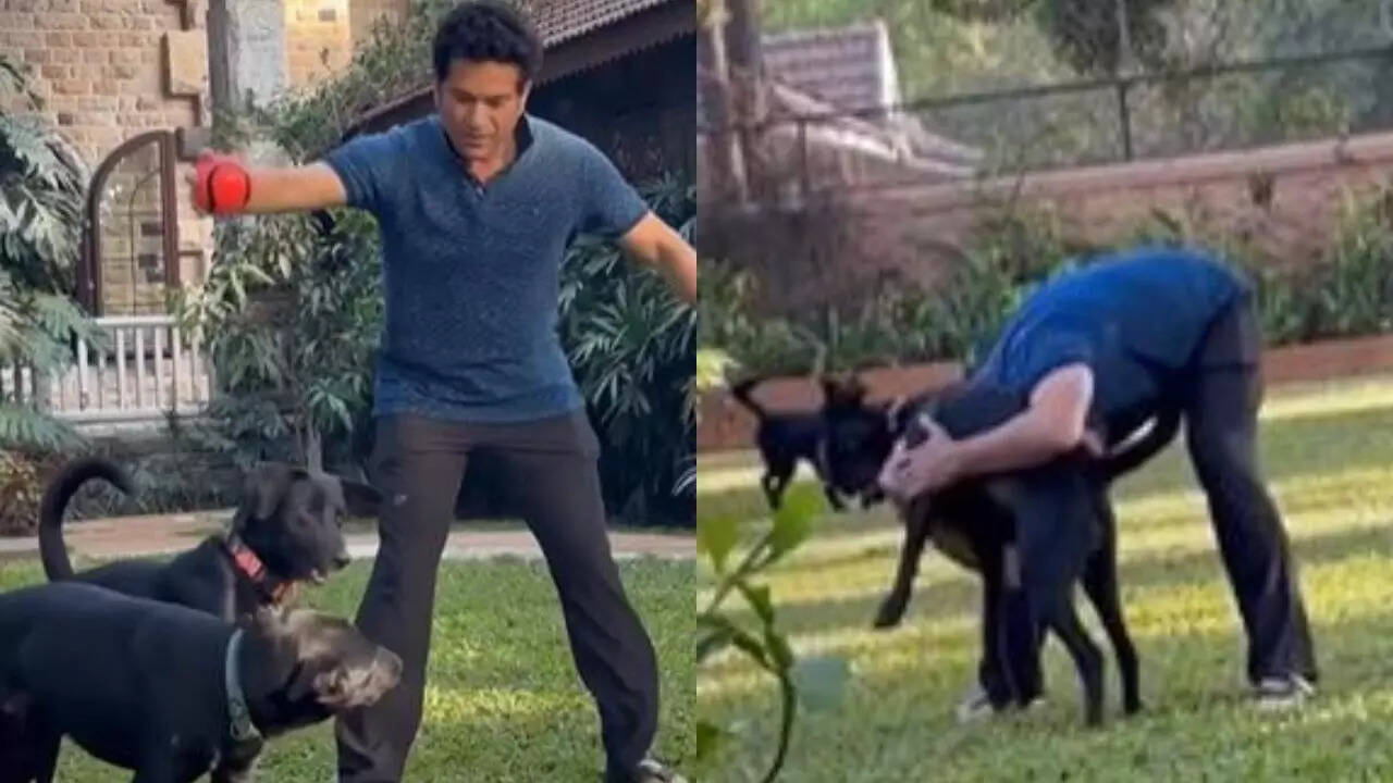 Viral video of Sachin Tendulkar playing with his dogs on his lawn is ...