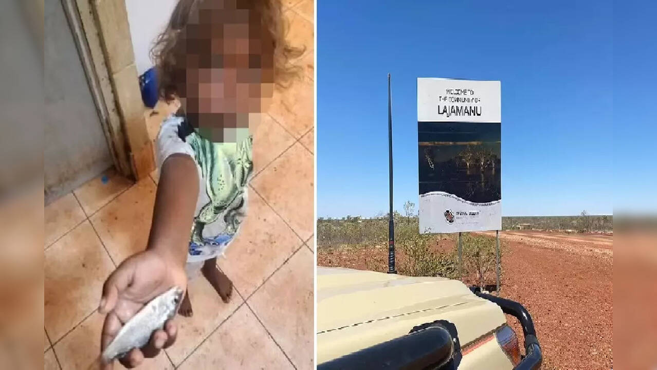 Fish starts raining from sky in bizarre weather event in Aussie town to ...