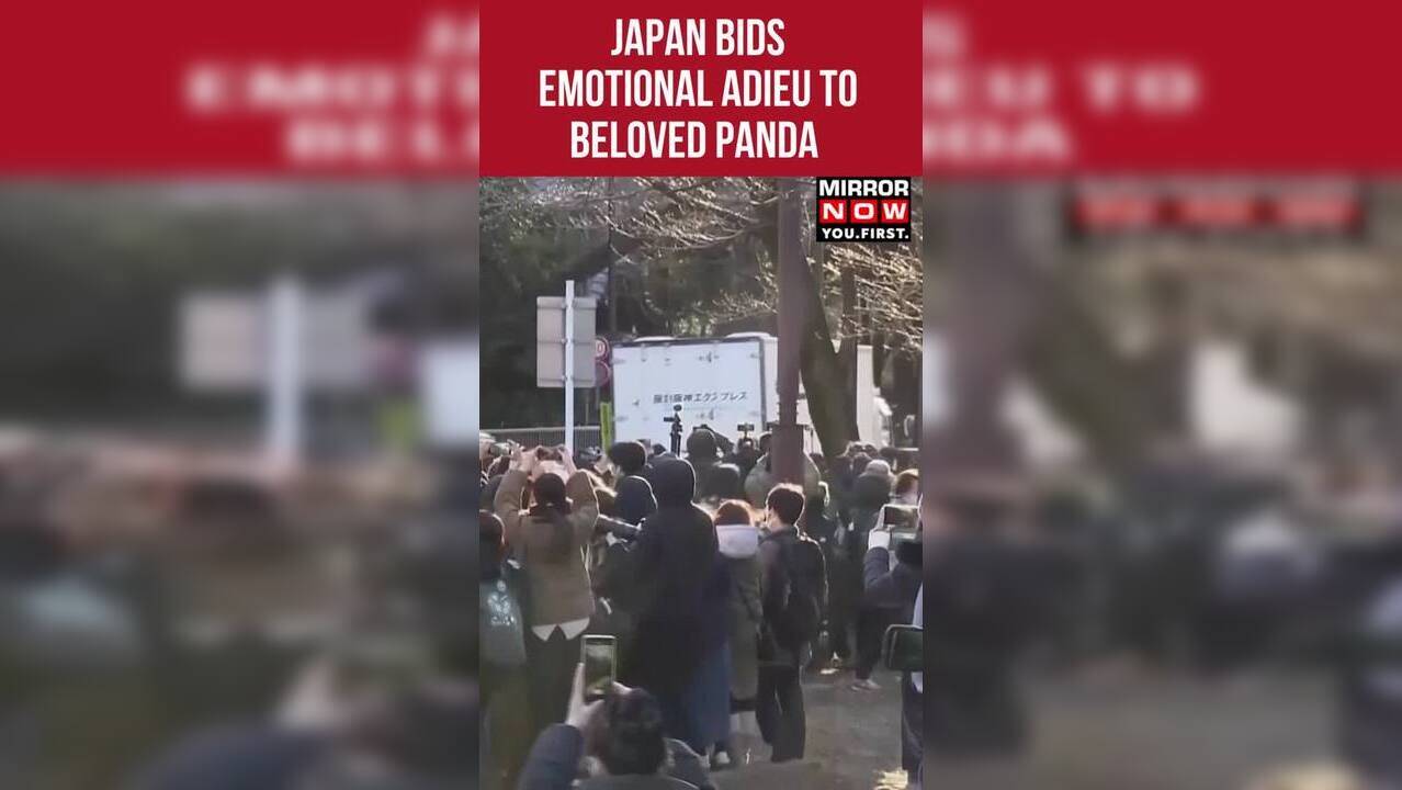 Hundreds Of Japnese Bids Teary Farewell To Beloved Panda Sent To ...