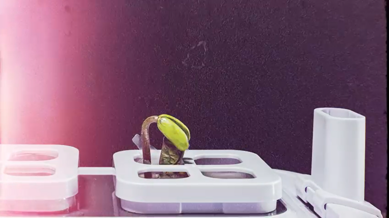 Toppan and Polymateria release ‘Biotransformed’ packaging that can ...