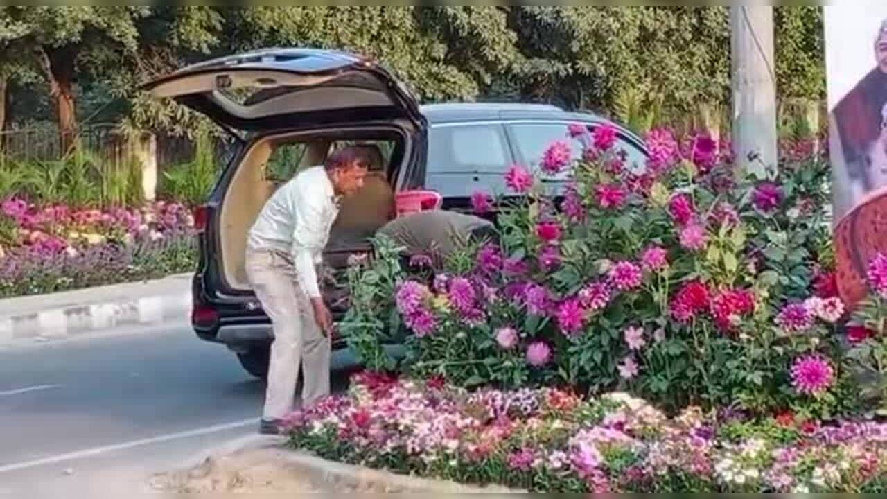 Gurgaon G20 | Viral video: Gurugram men caught stealing flower pots ... Gurgaon G20 | Viral video: Gurugram men caught stealing flower pots ...