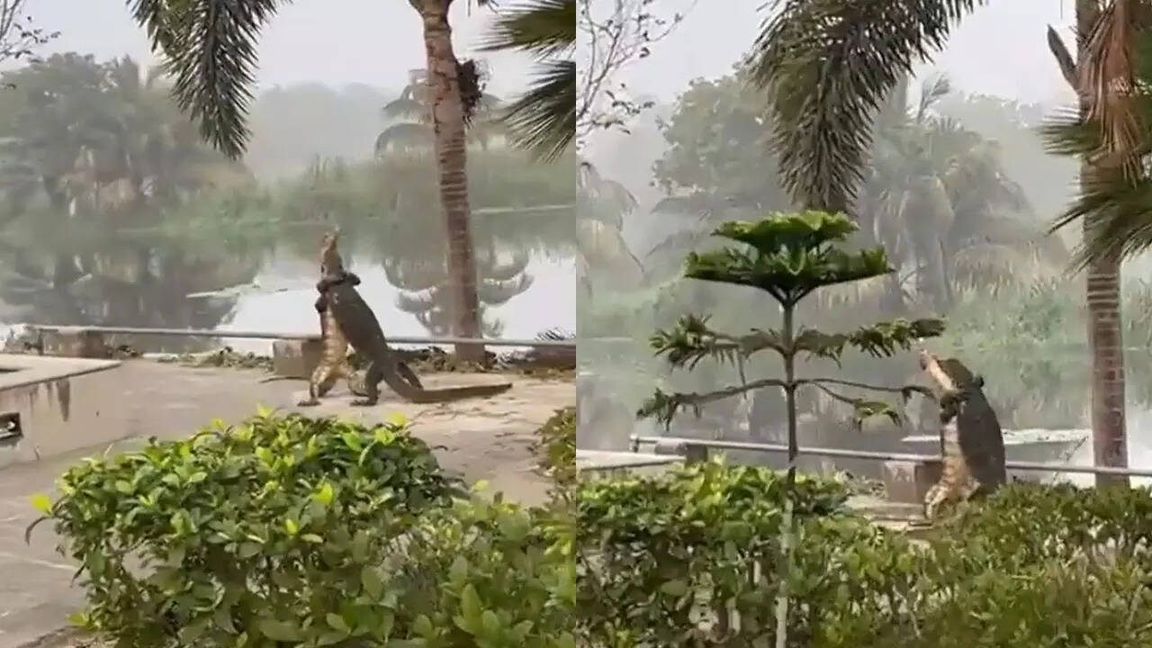 Normal Day of two adults fighting at IIM Calcutta Campus video goes ...