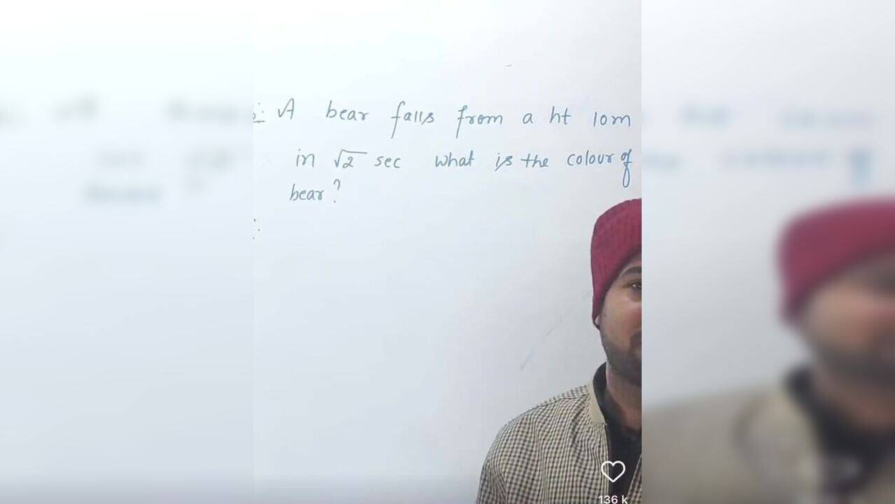 Tricky riddles | Physics teacher calculates colour of 'falling bear ...