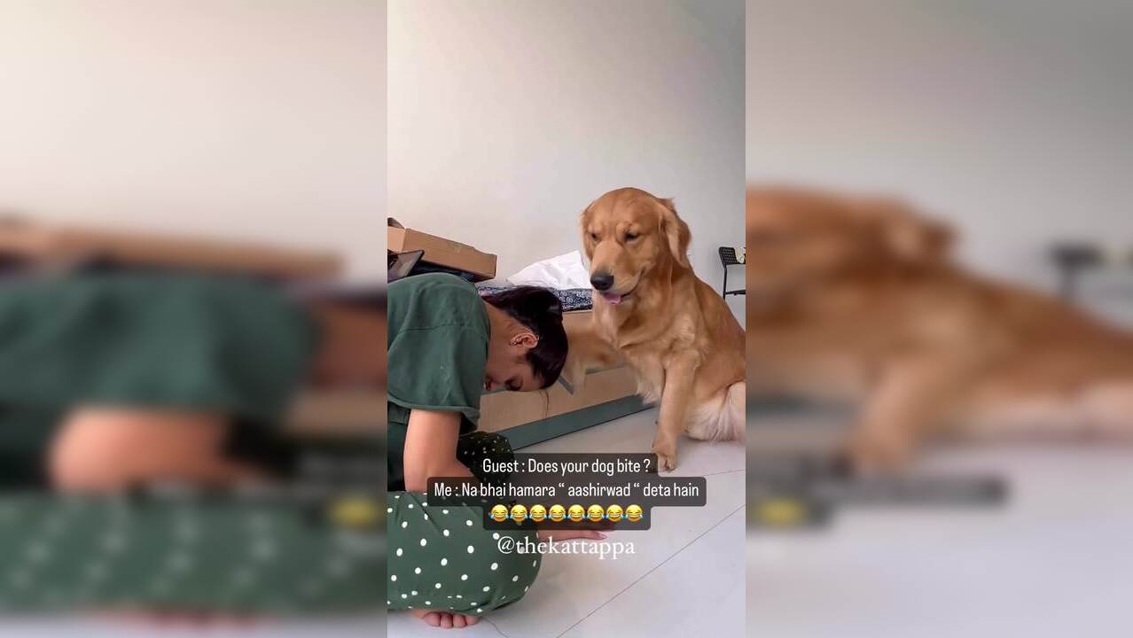 Dog video | Meet Kattappa, the dog who gives aashirwaad to humans ...