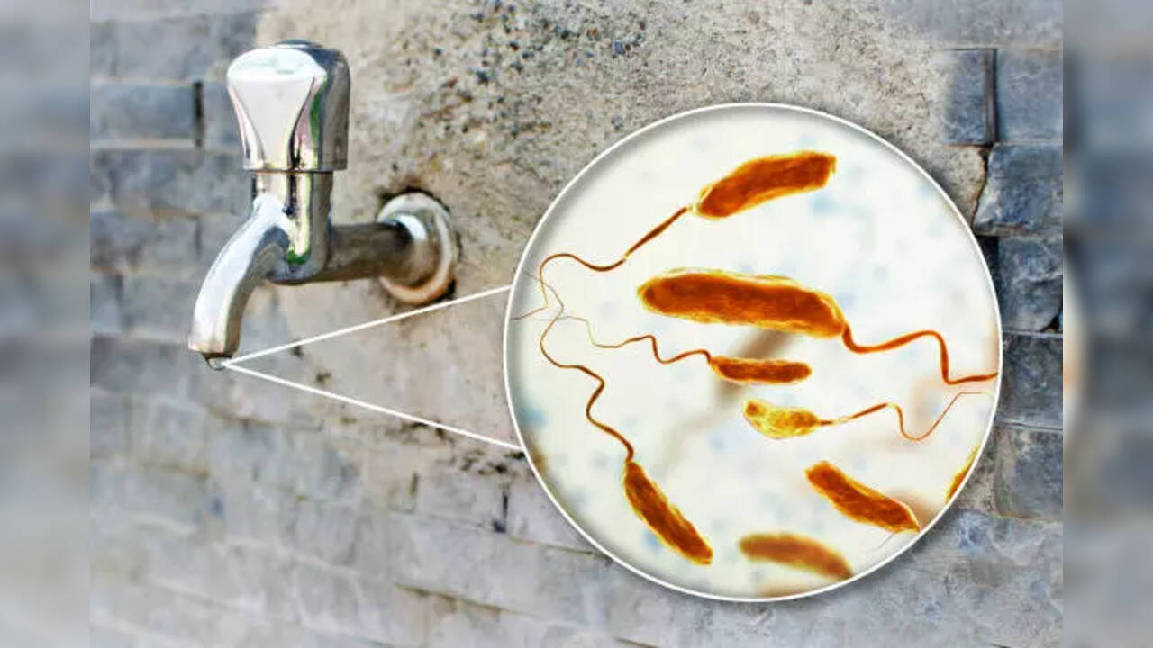 Cholera Surge, biggest in 20 years reported due to covid-19 across the ...