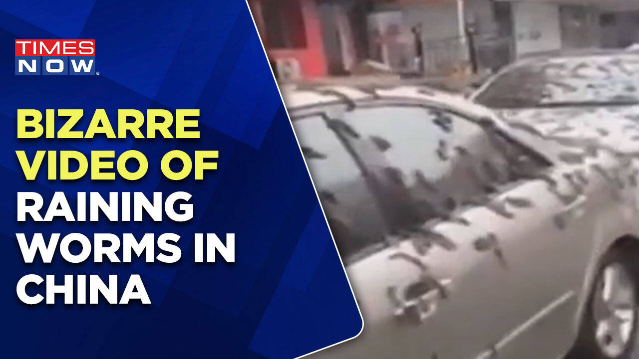 Bizarre Video Of Raining Worms In China's Beijing Went Viral, Slimy ...