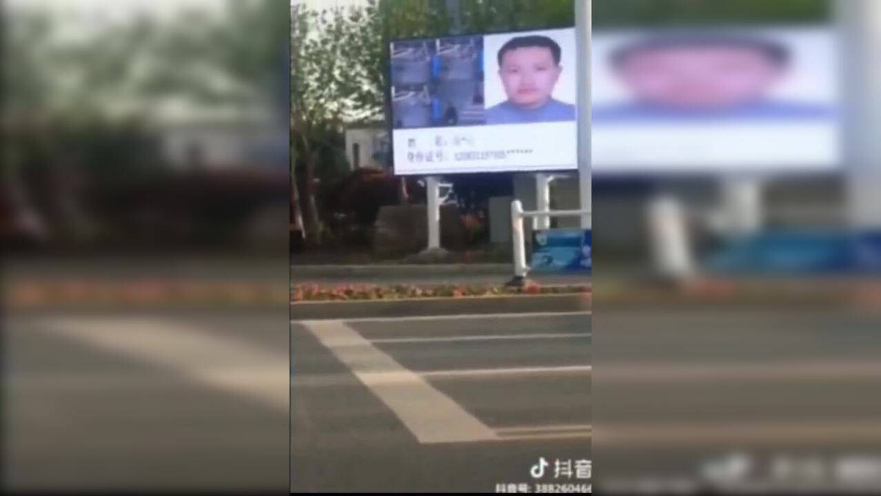 Viral clip shows China's 'creepy' public billboards that shame pedestrians for jaywalking ...