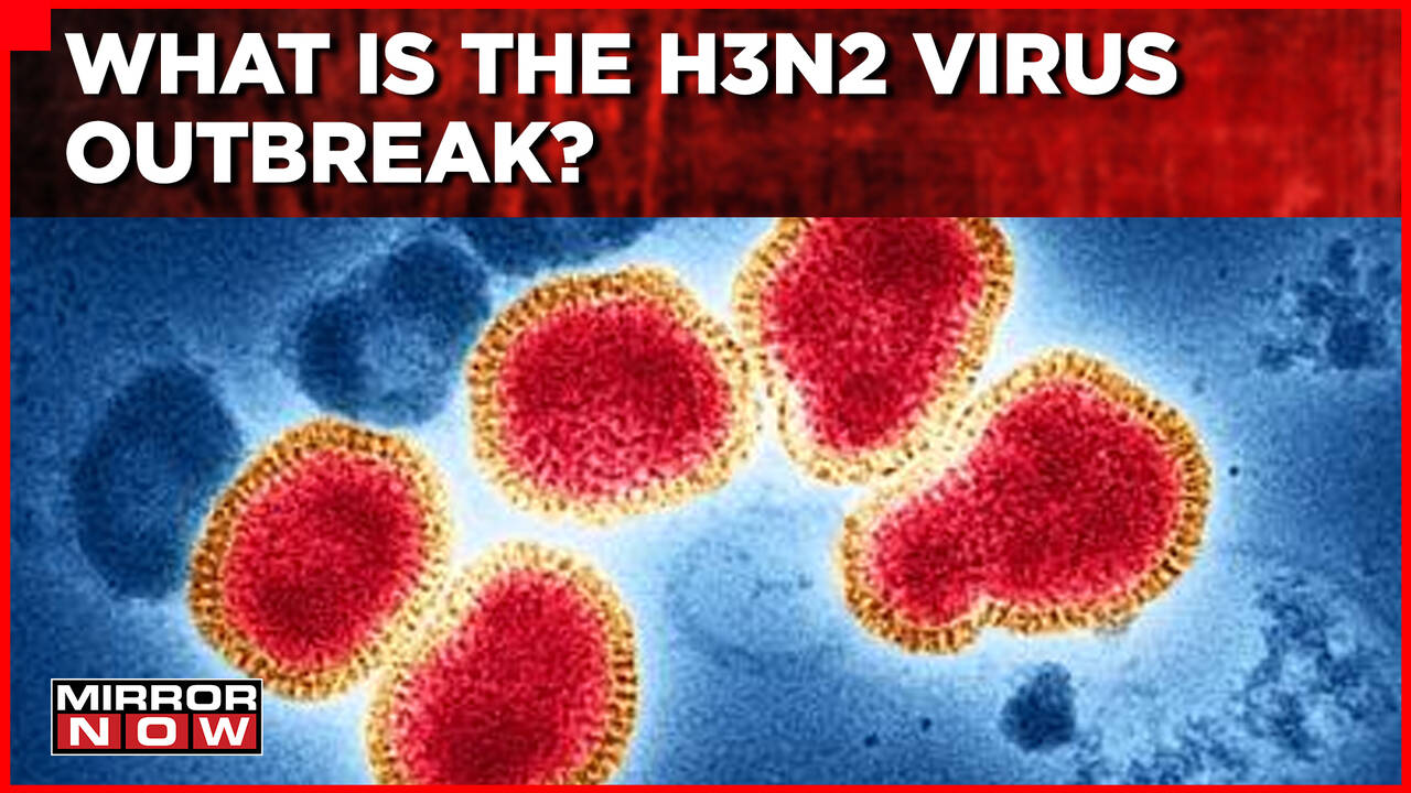 What Is The H3N2 Virus Outbreak? | How Concerned Should We Be? | Daily ...