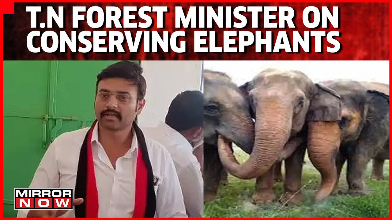 T.N Forest Minister Speaks On Elephants Electrocution Incidents | The ...