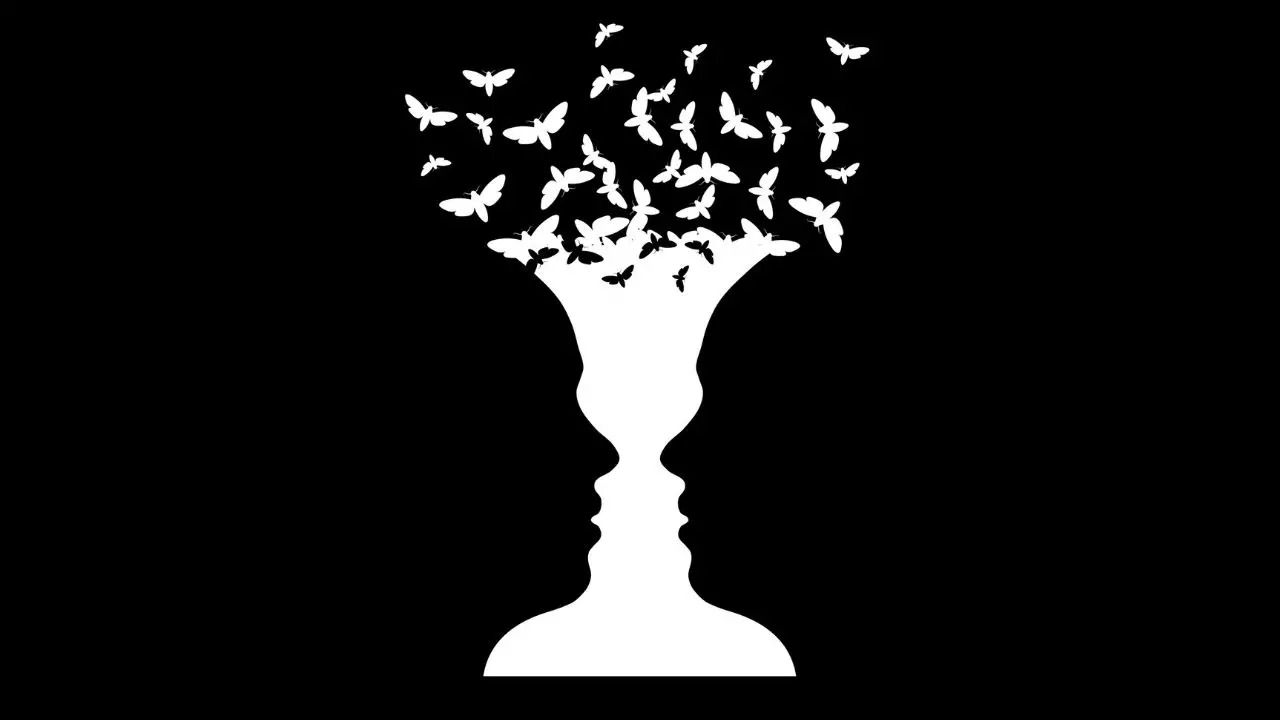 Rubin's Vase: The mind-bending optical illusion that hides a ...