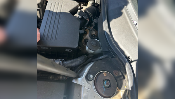 Dog gets stuck in engine compartment of vehicle, firefighters called in ...