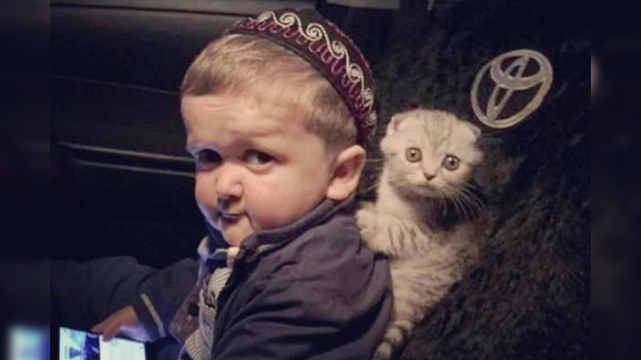 Viral Video Appears To Show Internet Sensation Hasbulla Abusing A Cat ...