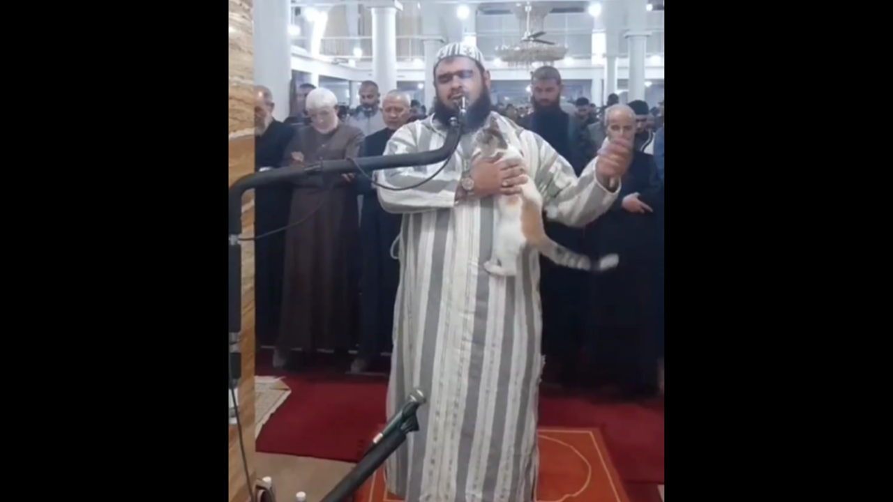 Cat Jumps On Imam As He Recites Ramadan Prayers In Heartwarming Viral ...