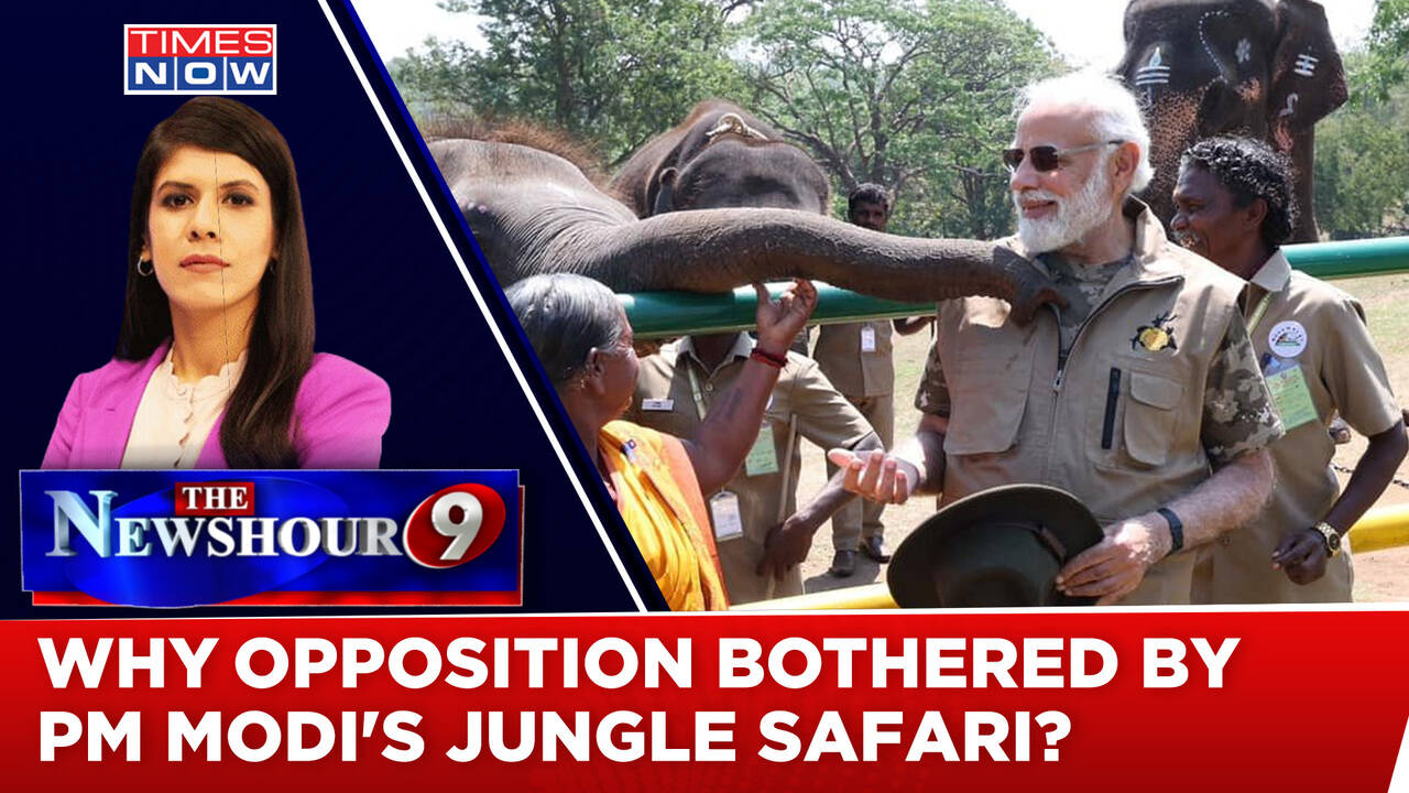 India Marks 50 Yrs Of 'Project Tiger' | PM Modi On Jungle Safari | Why ...