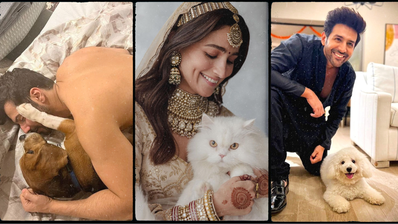 National Pet Day 2023: From Kartik Aaryan's Katori to Alia's cat, 7 ...