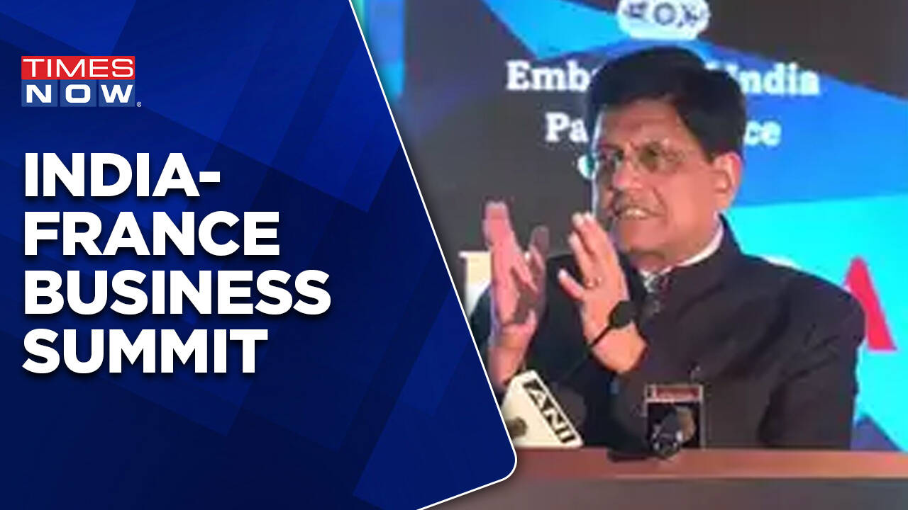 Union Minister Piyush Goyal Invites French Businessmen To Invest In ...
