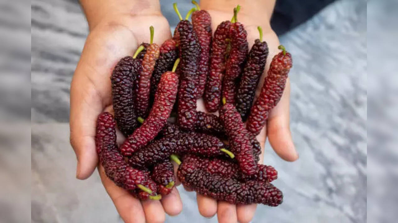 Mulberry: The Ideal Summer Fruit; Know The Incredible Health Benefits ...