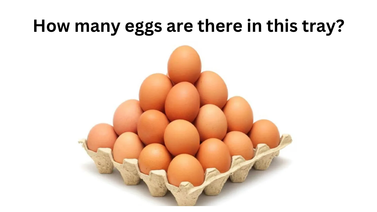 Optical Illusion: How Many Eggs Are There In This Tray? 95 Per Cent People Cannot Tell The ...