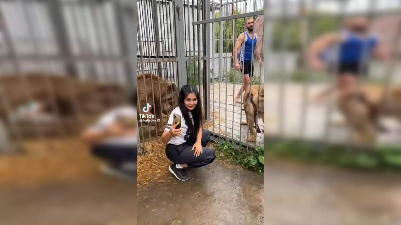 Viral Video: Woman Taking Selfie With Lioness Gets Pulled By Caged Bear At Zoo | Times Now