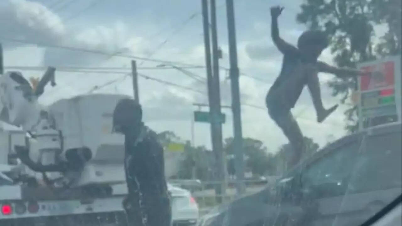 Tampa Woman Tries To Break Car’s Windshield In Terrifying Road Rage ...