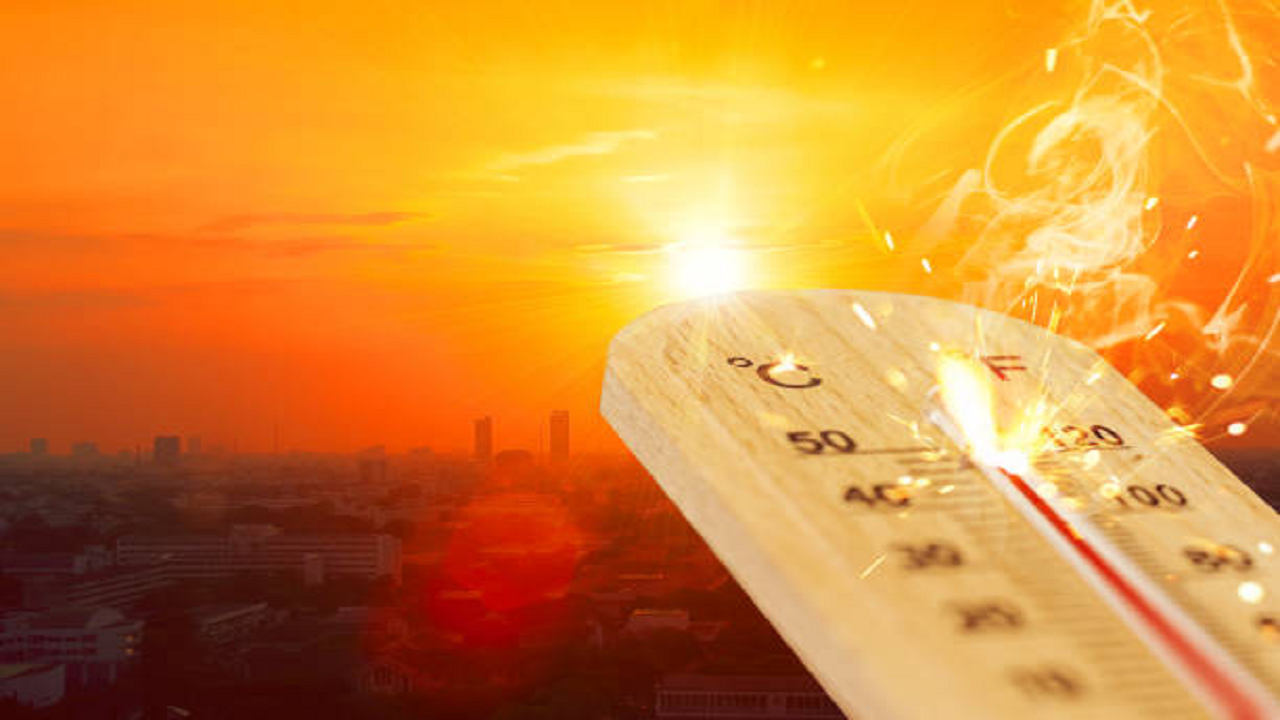 HeatWave in India: Schools closed in These States, Districts ...