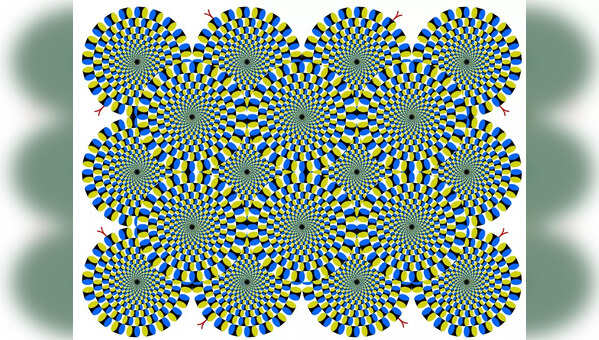 What You See First In This 'Rotating' Optical Illusion Reveals Whether ...
