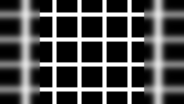 Think You Are A Genius? Try Working Out The Real Number Of Blobs In This Famous Grid Optical ...