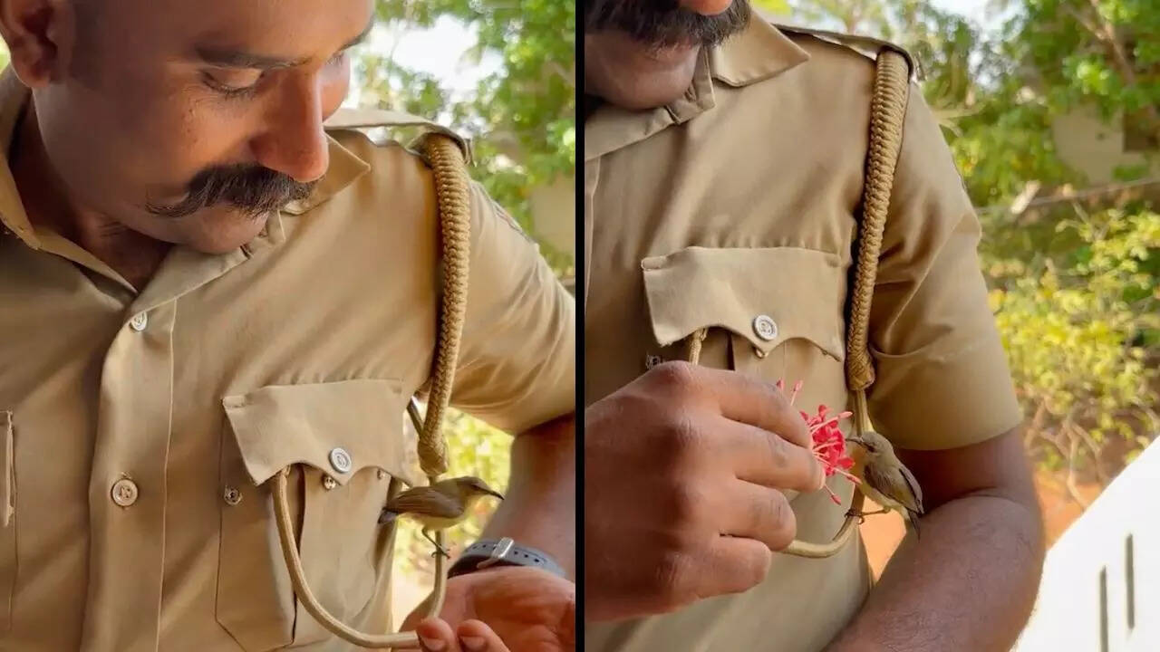 Viral Video: Gentle Kerala Police Officer Hand-Feeds Bird on His ...