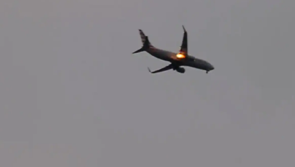 Video: American Airlines Plane Catches Fire Mid-Air After Bird Strike ...