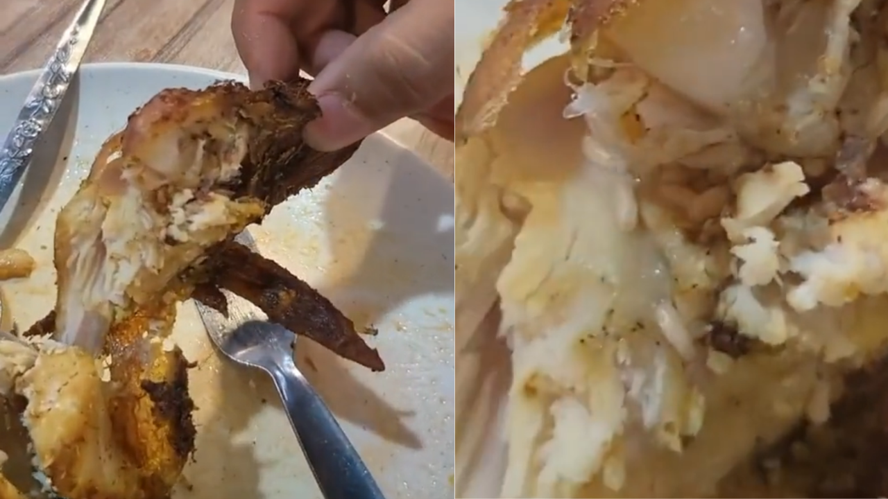 Customer Horrified After Finding Maggots In Chicken Served at Malay ...