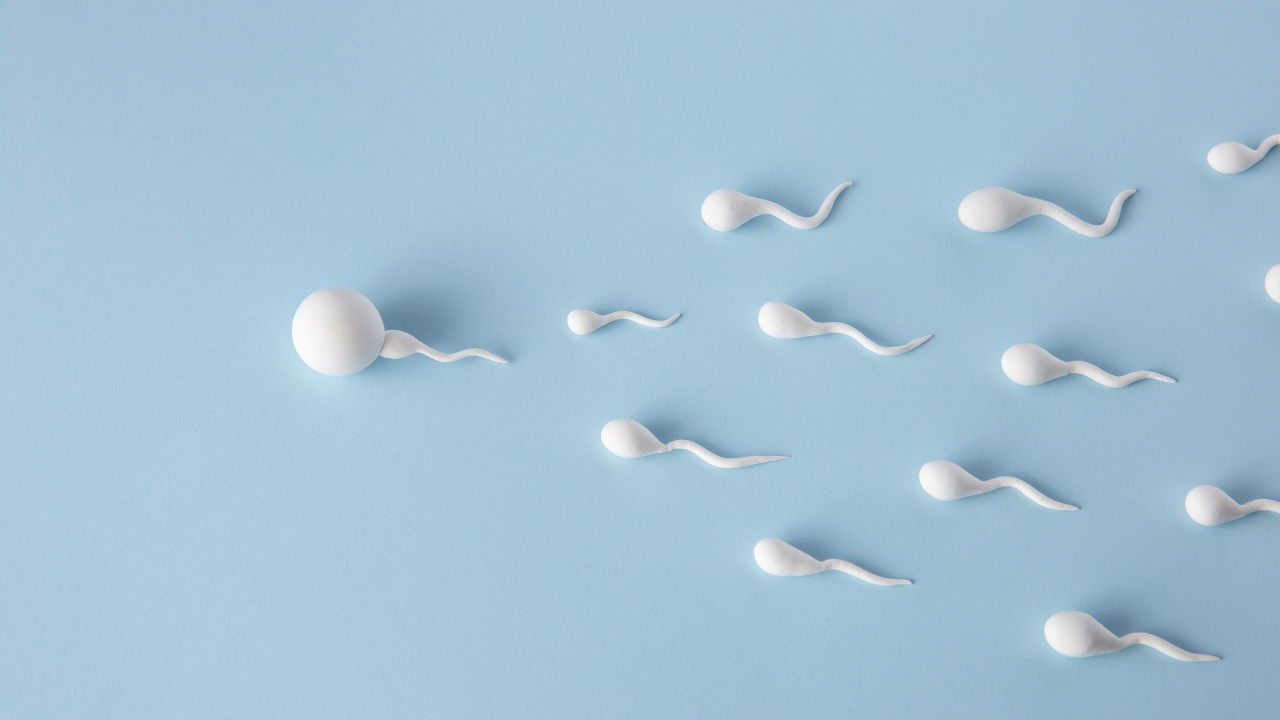 Sperm Donor Who Fathered Over 550 Children Globally Ordered By Dutch ...