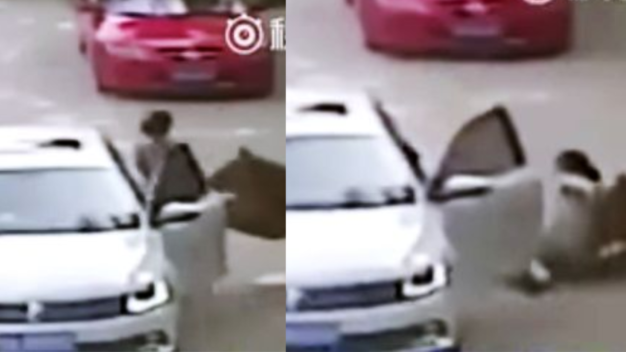 Woman Steps Out Of Car During Safari To Help Daughter, Gets Mauled By ...