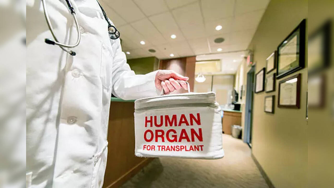 Organ Donation: Brain-dead Man Gives New Lease Of Life To 5 People ...